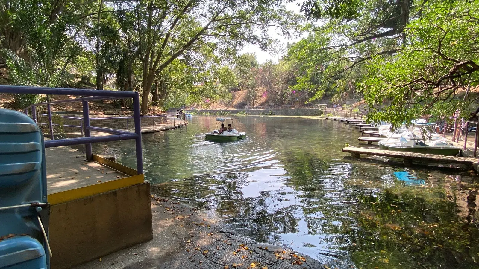 Preparan proyecto integral para rescatar el lago del Parque Chapultepec ...